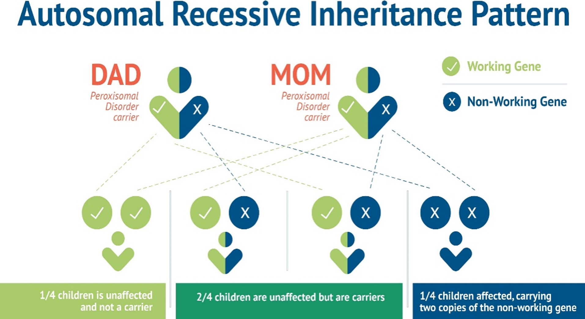 Information for Newly Diagnosed Patients - The Global Foundation for ...