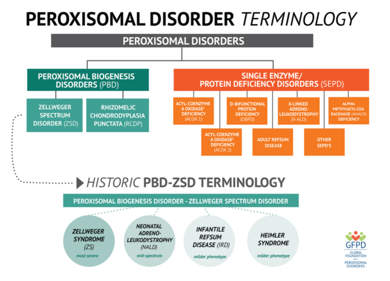 Peroxisomal Disorders - The Global Foundation for Peroxisomal Disorders